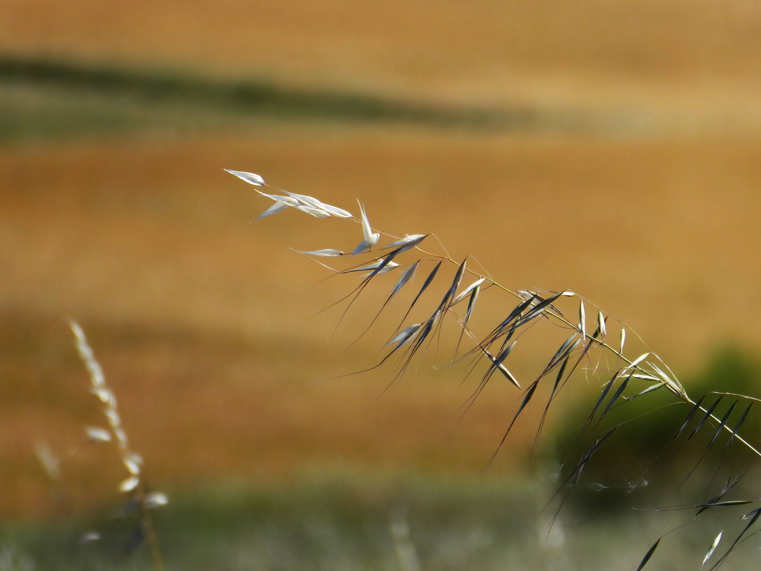 Docendo Discimus – Enseñando Aprendemos